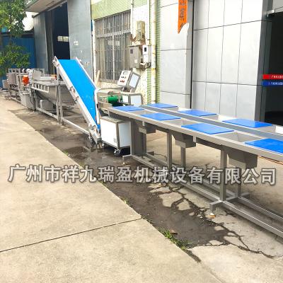 China Stainless Steel Vegetable Processing Line with 800-1500kg/h Capacity and 220V/380V Voltage for Industrial Food Production for sale