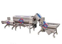 China SUS #304 Stainless Steel Vegetable Processing Line - 1.5-2T/h Capacity with 380V Power for Food Centers for sale