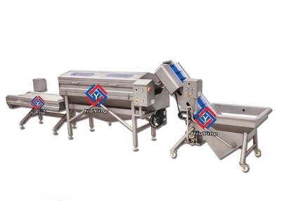 China SUS #304 Stainless Steel Vegetable Processing Line - 1.5-2T/h Capacity with 380V Power for Food Centers for sale