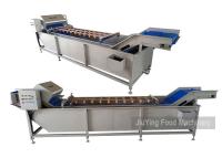 China JY-5200 Industrial Vegetable Fruit Washing Machine 13.8KW 5190mm Stainless Steel For Apple Spinach Salad for sale