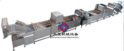 China Industrial Vegetable and Fruit Washing Line 1-2 Tons/Hour Capacity with 20KW Power and 14000mm Length for sale