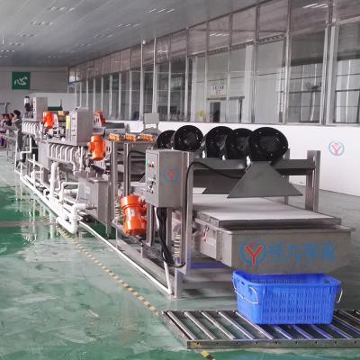 China 1000kg Salad Production Line with 1.5-2T/h Capacity and SUS304 Stainless Steel Construction for sale