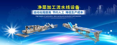 China 60Hz Industrial Salad Production Line with 1500-2000KG/H Capacity and 380V Power for Vegetable Processing for sale