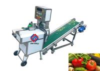 China Adjustable 60mm Commercial Cabbage Cutting Machine 500-800kg/h Stainless Steel for sale