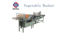 China Industrial 380V 3P 1500kg/H Vegetable Fruit Washing Machine Bubble Cleaner for sale