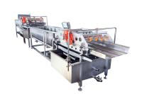 China Air Bubble Salmon Fish Seafood Washing Machine 4.8KW 1500kg/h for sale