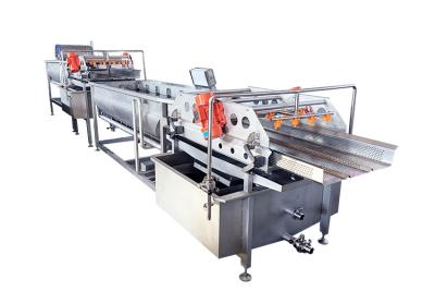 China Air Bubble Salmon Fish Seafood Washing Machine 4.8KW 1500kg/h for sale