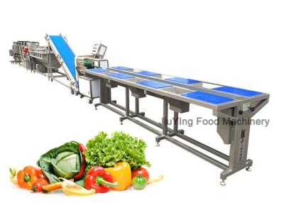 China Industrial Vegetable Processing Line with 140mm/s Conveyor Speed, 1000-1500kg/h Capacity for Cutting Washing Dewatering for sale