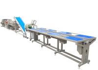 China 3T Leaf Salad Vegetable Washing Processing Line Customized 1000-3000kg/h for sale
