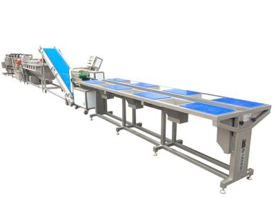 China 3T Leaf Salad Vegetable Washing Processing Line Customized 1000-3000kg/h for sale