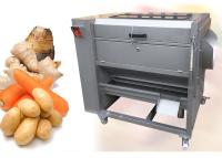 China JYTP-80 Industrial Vegetable Peeling Machine 500kg/h Capacity 1.5kW Power for Potatoes Onions Carrots for sale