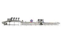 China 304 Stainless Steel Leafy Vegetable Washing Drying Line - 800-1000 kg/hour Capacity with Triple-Action Cleaning System for sale