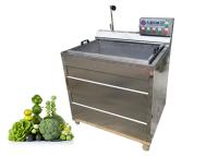 China Stainless Steel Vegetable Washing Machine 300kg/h for Leafy Greens and Fruits for sale