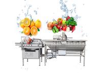 China 3000KG/H Vegetable Fruit Washing Machine Salad Cleaning equipment for sale