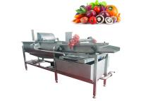China Customizable Vortex Fruit Vegetable Cleaner Machine 4200mm Leaves Cleaning Equipment 380V for sale