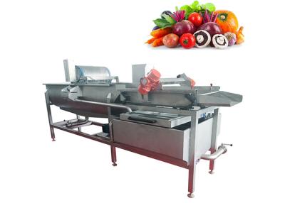 China Customizable Vortex Fruit Vegetable Cleaner Machine 4200mm Leaves Cleaning Equipment 380V for sale