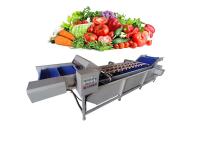 China 13.8KW 3T/H Fruit Vegetable Washing Machine With Oxygen Pump for sale