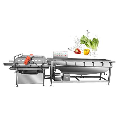 China Vortex Type Ozone Vegetable Fruit Washing Machine 1.5T/H Capacity 304 Stainless Steel for sale