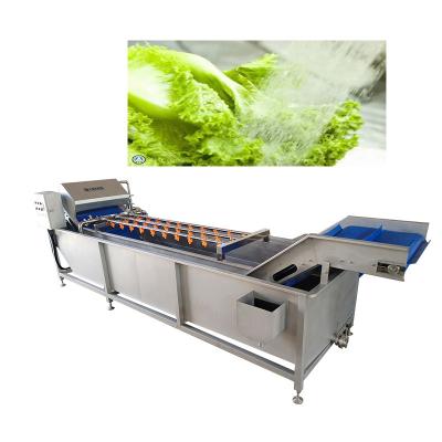 China RY-5200 Belt Type Vegetable Fruit Washing Machine 1-2T/H Capacity 380V High Pressure Spray System for sale