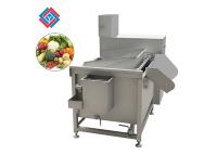China Industrial Stainless Steel Ozone Fruit Vegetable Washer 500kg/h 2.2kW for sale
