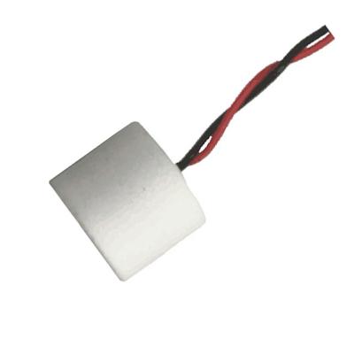 China Double Sheet Detector Ultrasonic Piezo Transducer 300KHz Small Dead Zone for sale