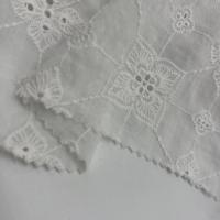 China Small Mesh Design White Embroidery Fabrics 100% Cotton Breathable For Dresses for sale