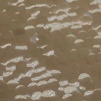 China 100% Polyester Big Beige Sequins Embroidery Fabric Various Sizes for sale