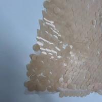 China 100% Polyester Big Beige Sequins Embroidery Fabric Various Sizes for sale