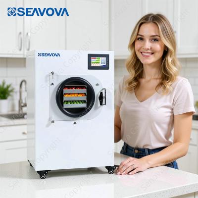 China 1Kg 2Kg Commercial Freeze Dryer Small Commercial Freeze Drying Equipment NovaDryer-HF100 for sale