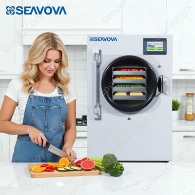China 220V Countertop Freeze Dryer 4Kg Food Freeze Dryer For Home Use HM400 for sale