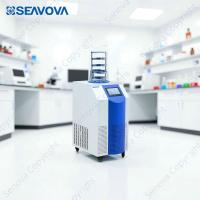 China 4Kg Standard Laboratory Freeze Dryer -60C Laboratory Lyophilizer for sale