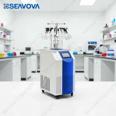 China Food Vertical Freeze Dryer Stainless Steel Lab Scale Lyophilizer for sale