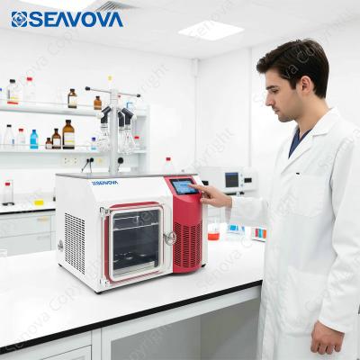 China 3Kg Programmable Benchtop Lyophilizer Pilot Scale Freeze Dryer for sale