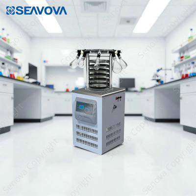 China 3kg/Batch Vacuum Freeze Dryer SS304 Lab Freeze Dry Vacuum Chamber for sale