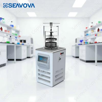 China Food Vacuum Freeze Dryer 3kg AC220V Compact Freeze Dryer For Medicine for sale