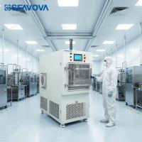 China 10Kg Pilot Freeze Dryer PLC Touch Screen Laboratory Freeze Dryers for sale
