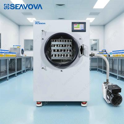 China 6Kg 7Kg 8Kg Food Freeze Dryer Machine SUS304 Commercial Lyophilizer NovaDryer-LF600 for sale