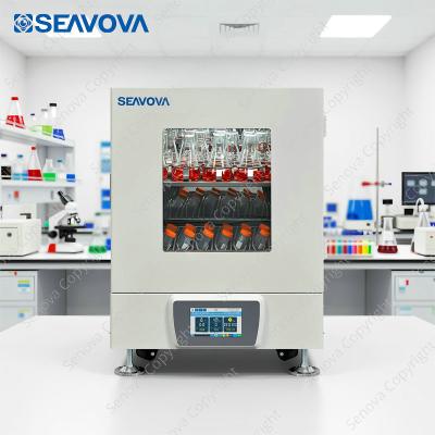 China Non-refrigerated Orbital Linear Laboratory Incubator Shaker ST-203X2 for sale