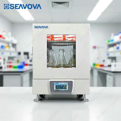 China Non-refrigerated Orbital Linear Shaking Incubator ST-203 for sale