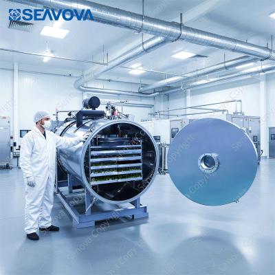 China AC220V Freeze Dryer Industrial 50Kg Food Lyophilizer Senova Biotech for sale