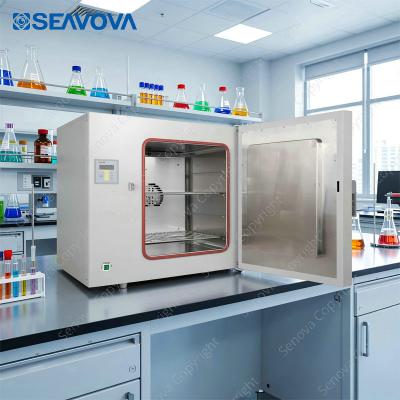 China 250L 400C Benchtop Laboratory Drying Oven NuOven B252-I for sale