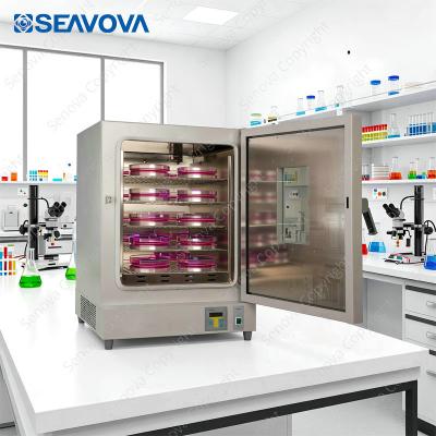 China 32L 200C Floor Standing Laboratory Drying Oven NuOven FB31-I for sale