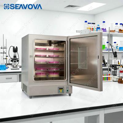 China 72L 200C Laboratory Heating Oven Programmable Lab Oven For Drying NuOven FB72-I for sale