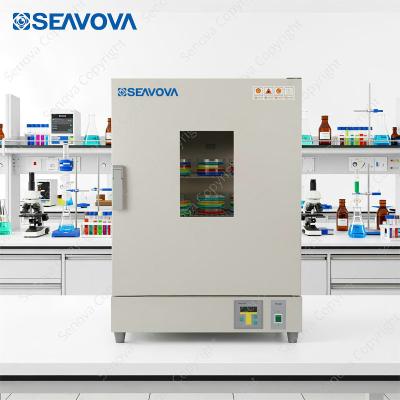 China 136L 300C Programmable Floor Standing Laboratory Drying Oven NuOven FDB136-I for sale