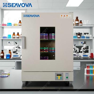 China 225L 300C Programmable Floor Standing Laboratory Drying Oven NuOven FDB252-I for sale