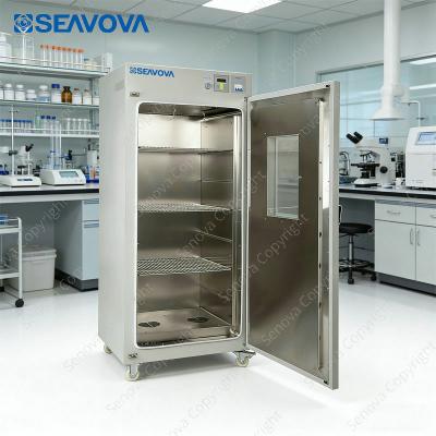China 430L 300C Programmable Floor Standing Laboratory Drying Oven NuOven FDB429-I for sale