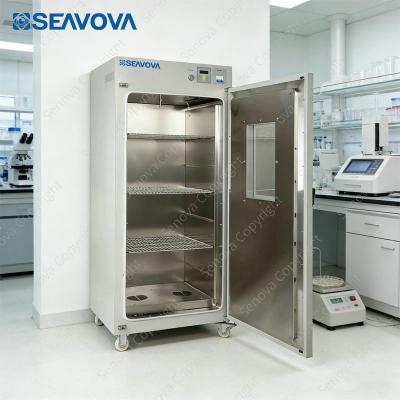 China 624L 300C Floor Standing Laboratory Drying Oven NuOven FDA624-I for sale