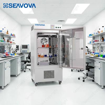 China 80L Low Temperature Refrigerated BOD Incubator NovaIncu BOD-80B for sale