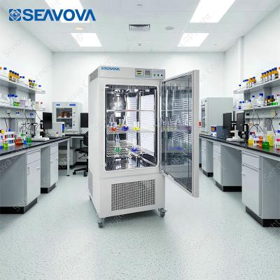 China 150L 250L 350L Illuminated Incubator 220V  With Stainless Steel Chamber PGC-D150 for sale