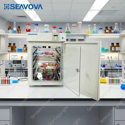 China Water Jacketed Incubator NovaIncu WT80-I for sale